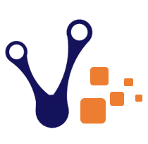 Virtual Pro Software Development Services